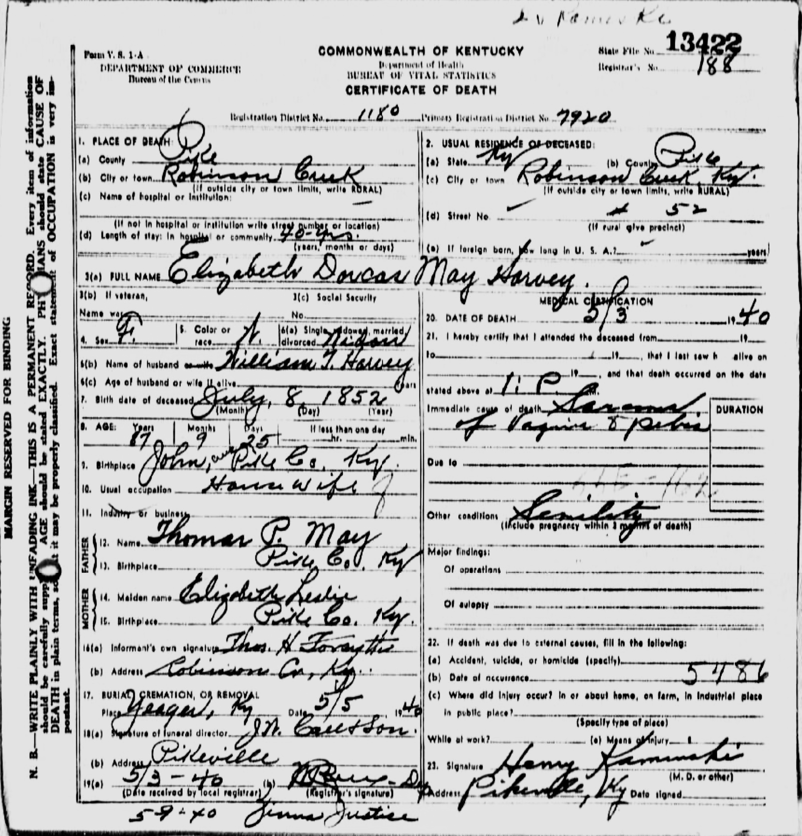 THE THOMAS PATTON MAY DESCENDANTS OF ROBINSON CREEK - Pike County ...